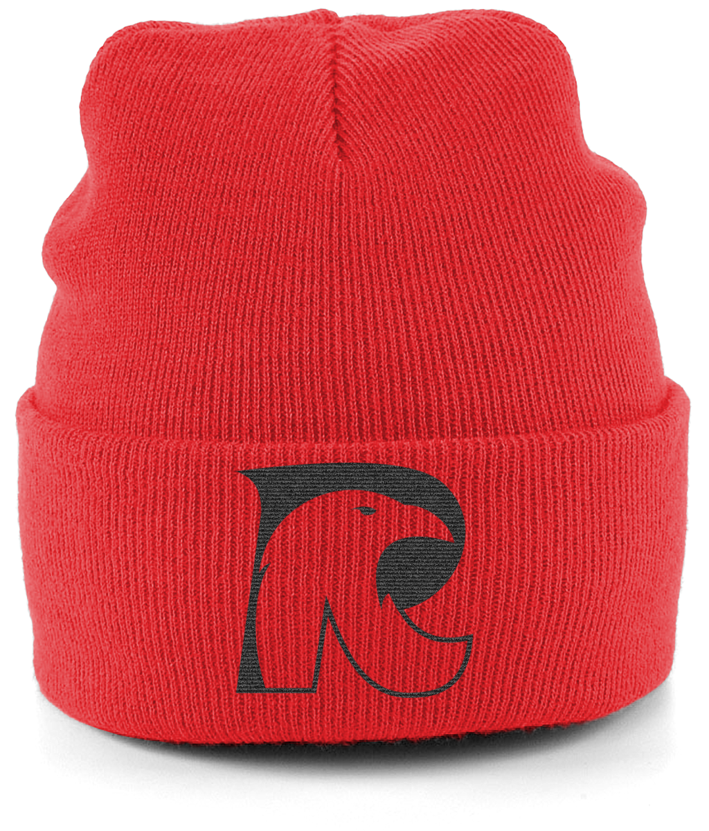Rob Raven Cuffed Beanie – ManaMerch